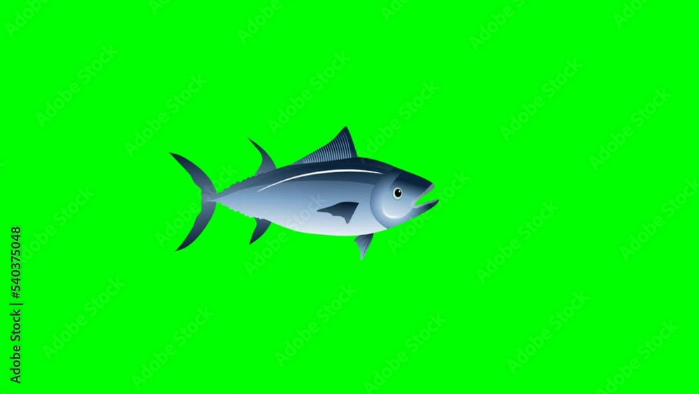 Cartoon Tuna fish swimming loop 2d animation green screen Stock ビデオ ...