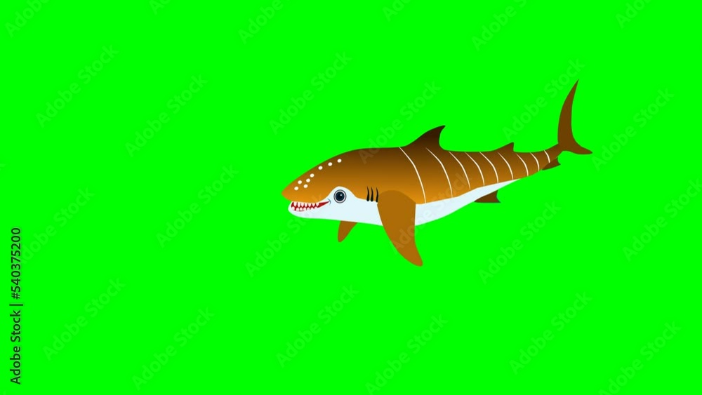 Cartoon Shark swimming loop 2d animation green screen Stock Video ...