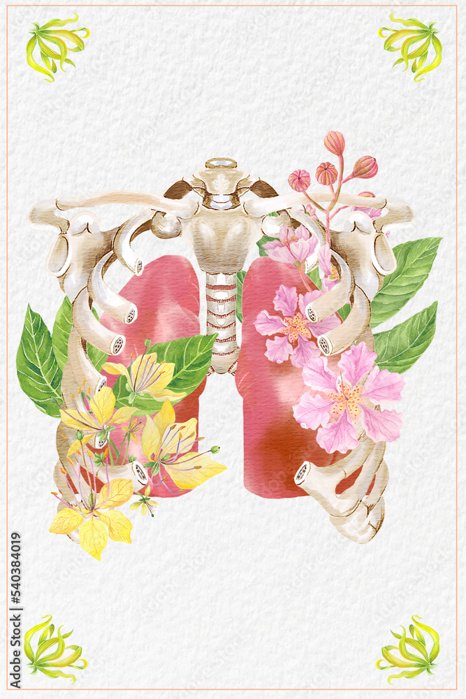 Philippine flora lungs banaba crateva ylang ylang border frame Stock ...