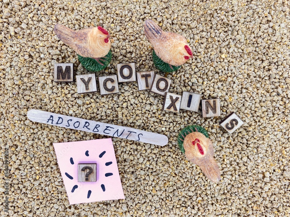 Mycotoxins in Animal feed. Image for mycotoxins risk in feed and raw ...