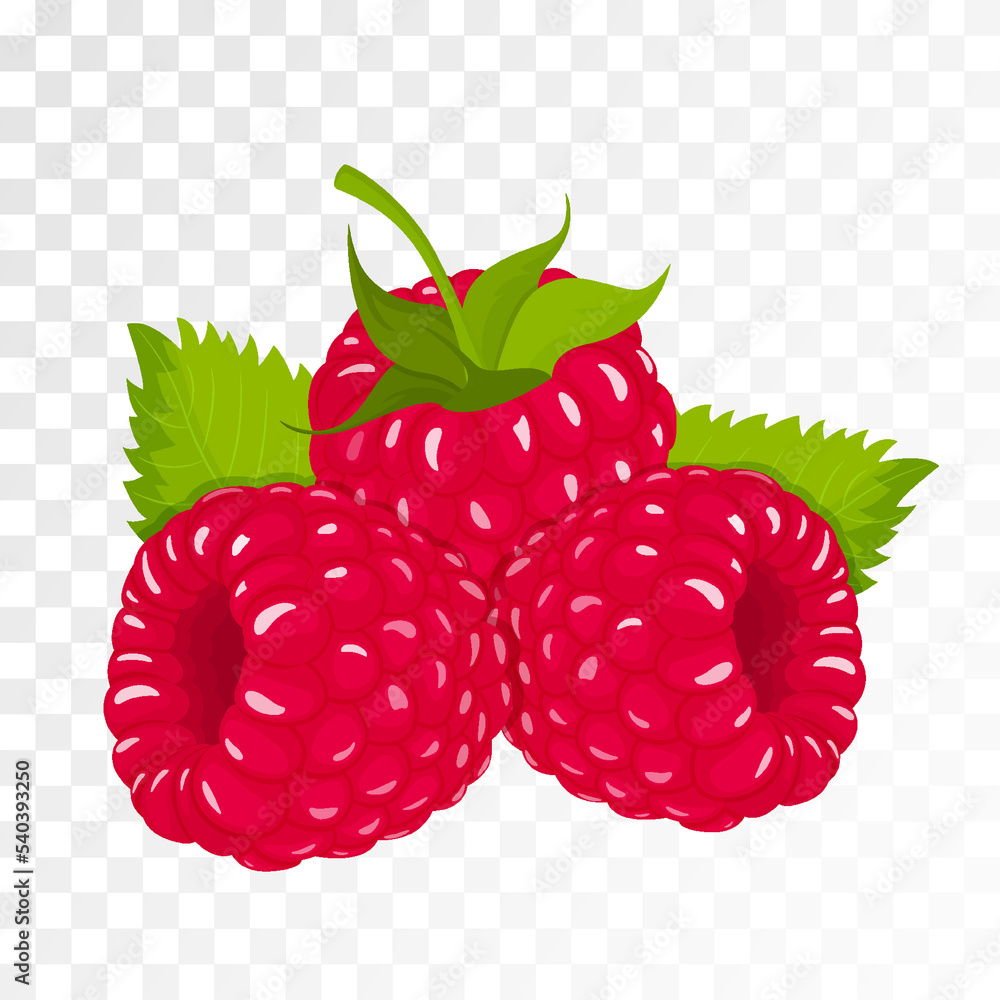 Raspberries isolated on transparent background. Natural summer fruit ...