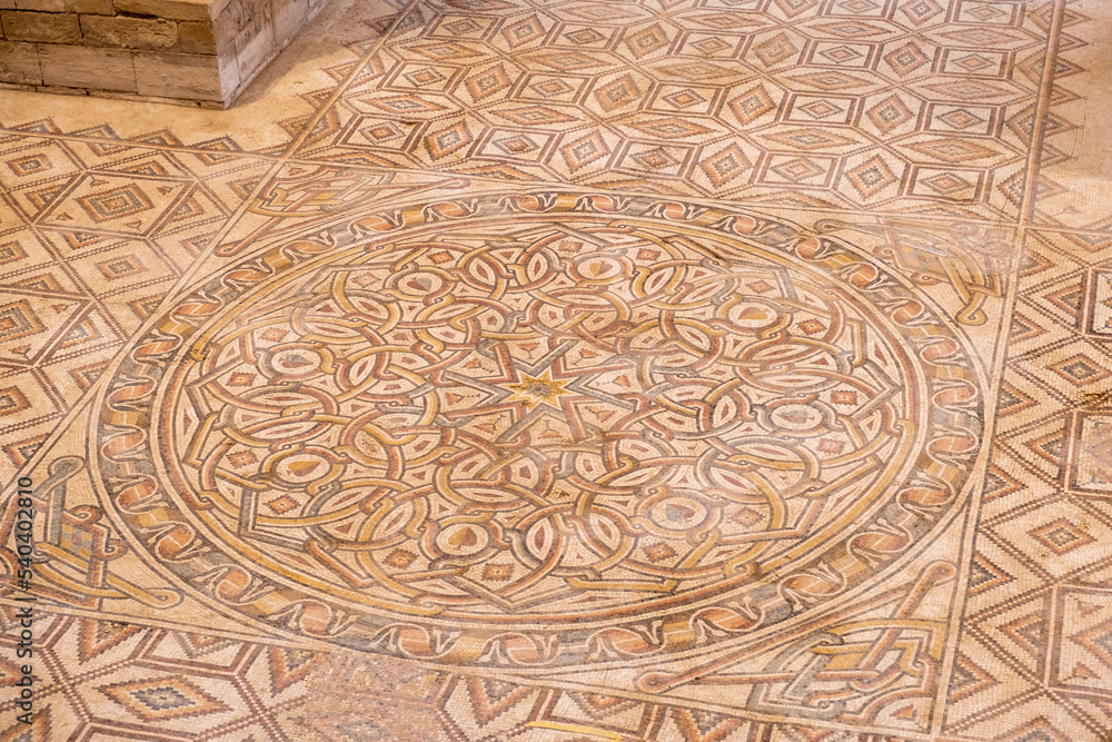 Ancient mosaic in Hisham's Palace aka Khirbet al Mafjar, an ...