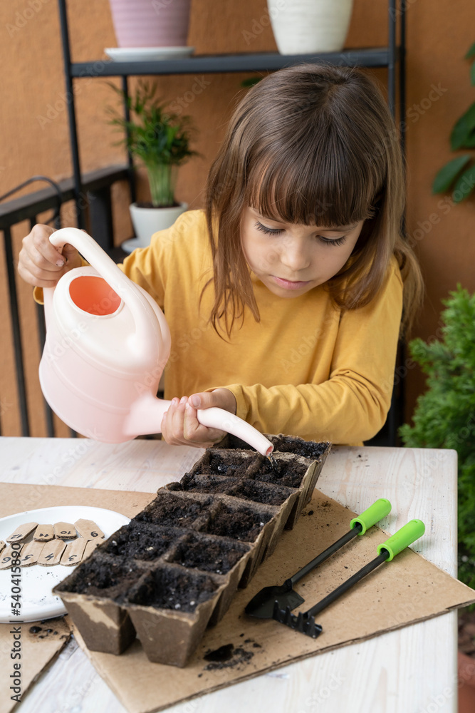 Little girl watering planted seeds from a watering can. Kid plants and ...