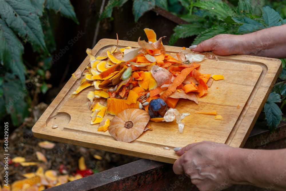 throwing vegetables into a compost bin Stock Photo | Adobe Stock