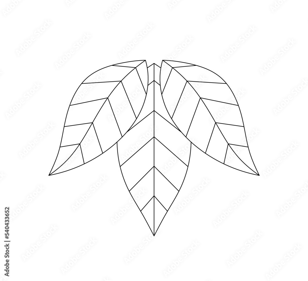 Vector isolated three symmetrical simple geometric lives with veins ...