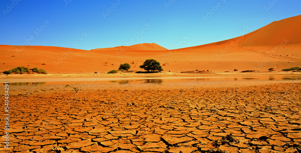 Dry River Bed with Cracked dry mud and clay leaving a craquelure effect ...