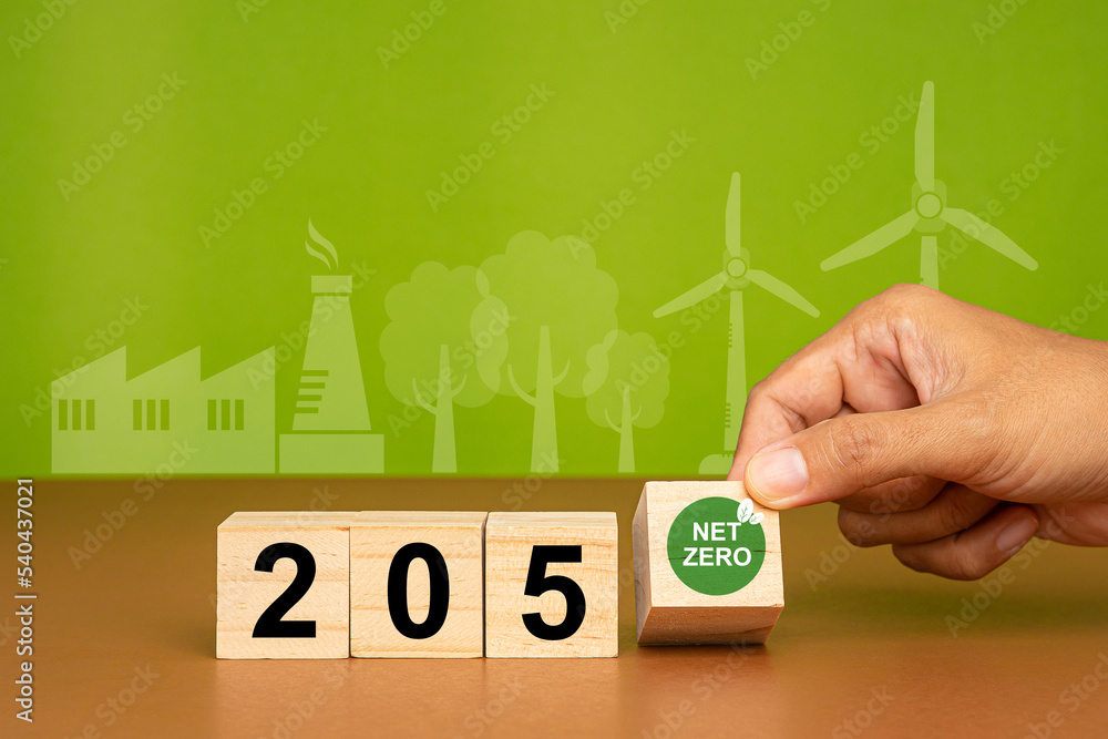 Net-zero emissions in 2050. Wooden cubes with text 2050 and Net-zero ...