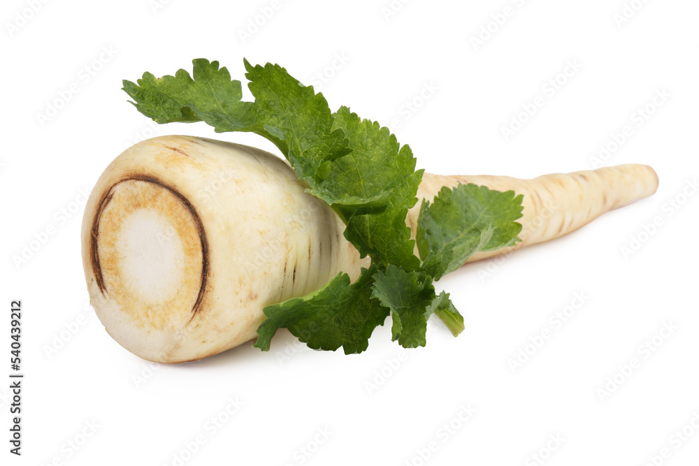Tasty fresh ripe parsnip on white background Stock-Foto | Adobe Stock