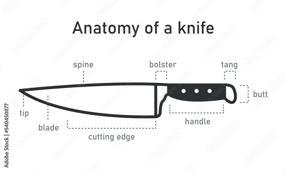 The Anatomy of Chef's Knife. Tool for cooking, hunting, military ...