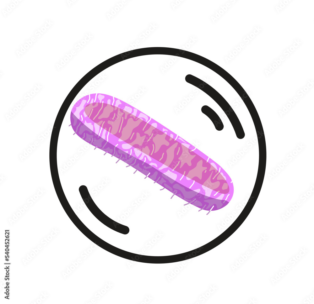 Legionella bacteria vector. Bacterium legionella illustration isolated ...