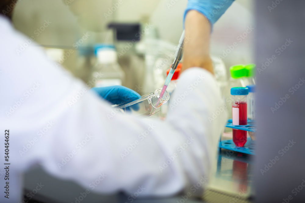 cell culture at the medicine and cell culture laboratory Stock Photo ...