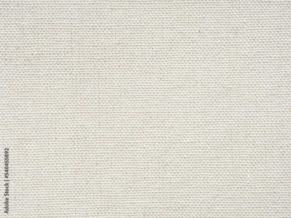 Ivory Background Texture