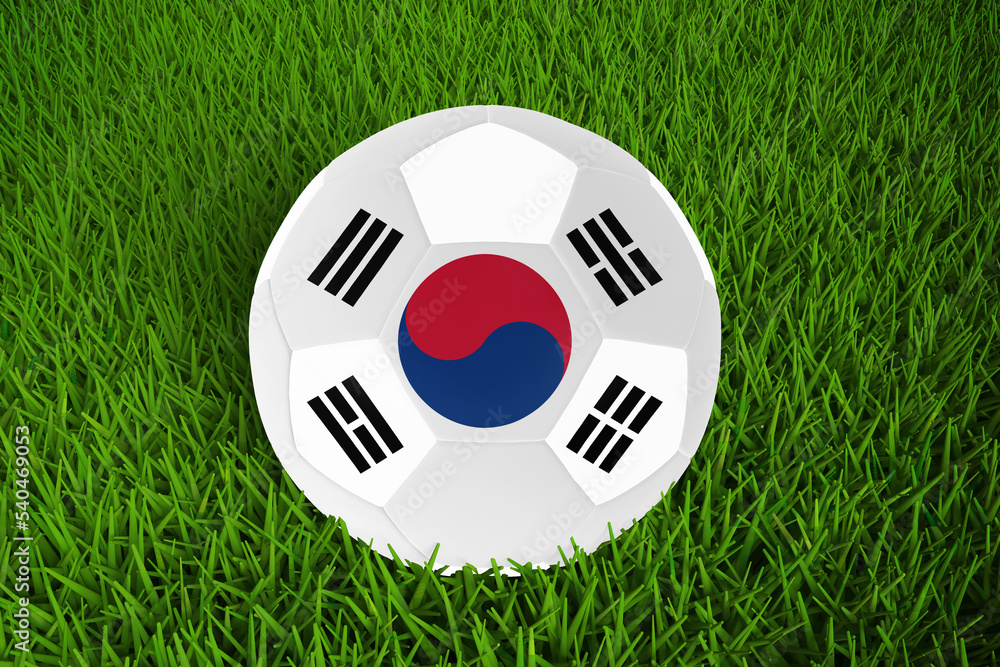 South Korea Flag Football World Cup Stock Illustration | Adobe Stock
