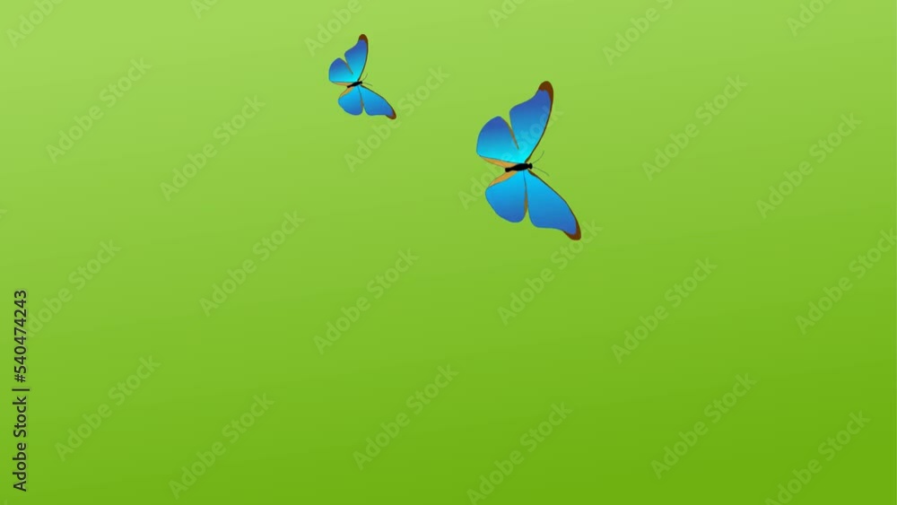 butterflies background and 2d animation, two butterflies Stock Video ...