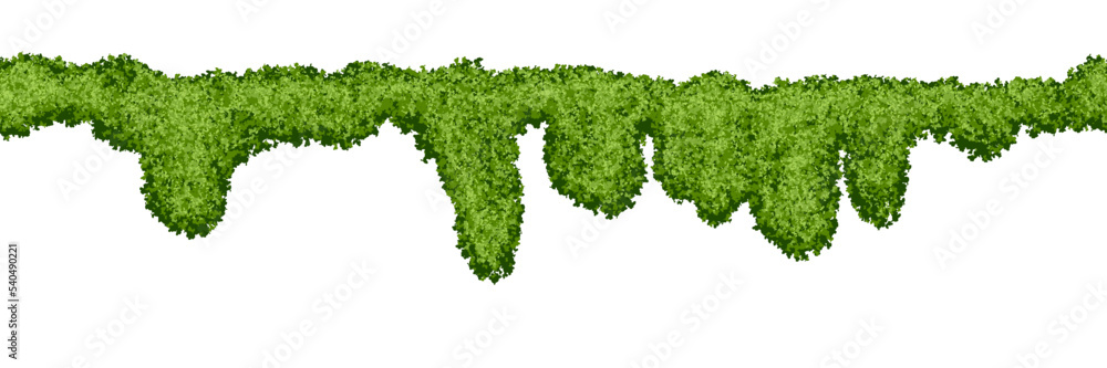 Long horizontal seamless swamp moss pattern on white background. Top of ...