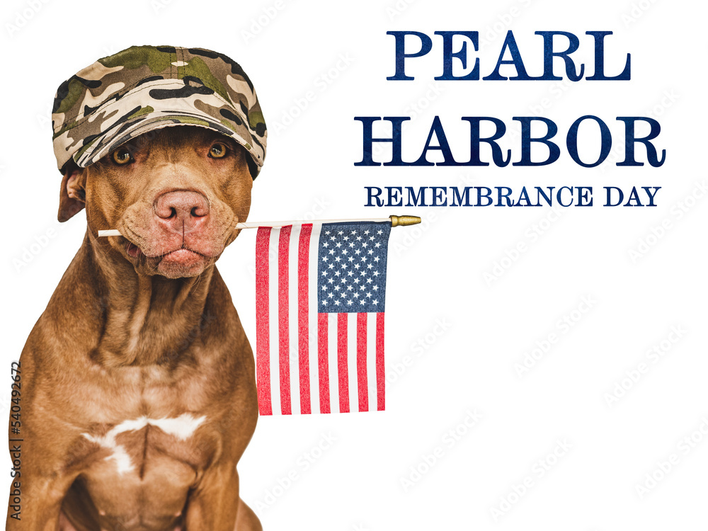 Poster Pearl Harbor Remembrance Day – Wall Art | UkPosters