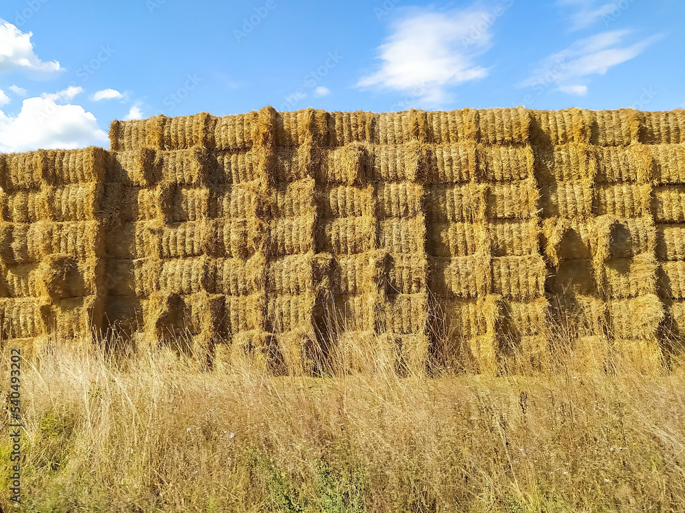 Big haystacks at field close-up at beautiful summer rural landscape at ...