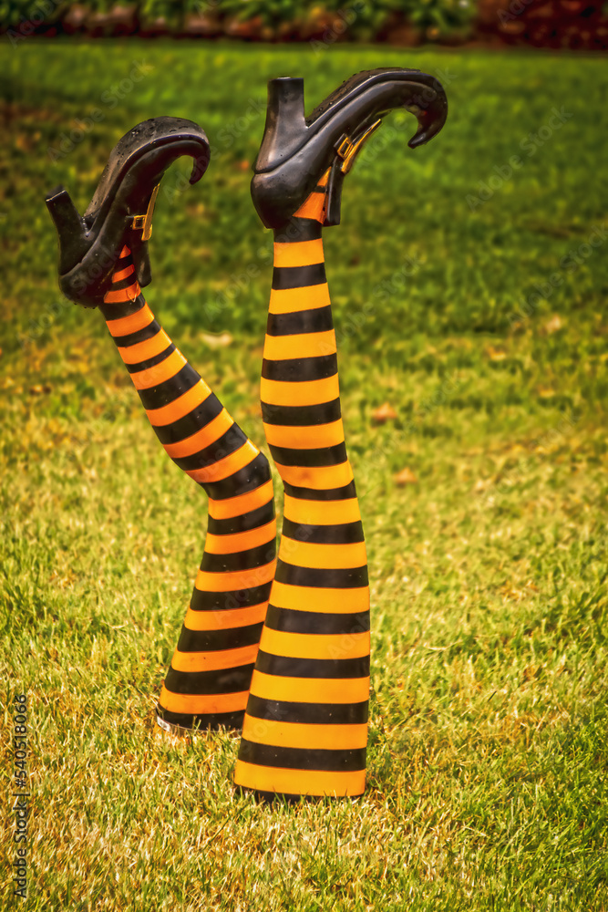 Witch legs - Halloween Lawn Decoration of legs in striped tights ...