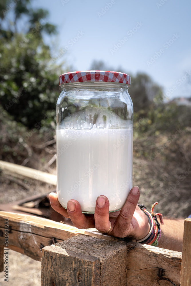 jar of freshly milked goat's milk. vertical composition. Stock Photo ...