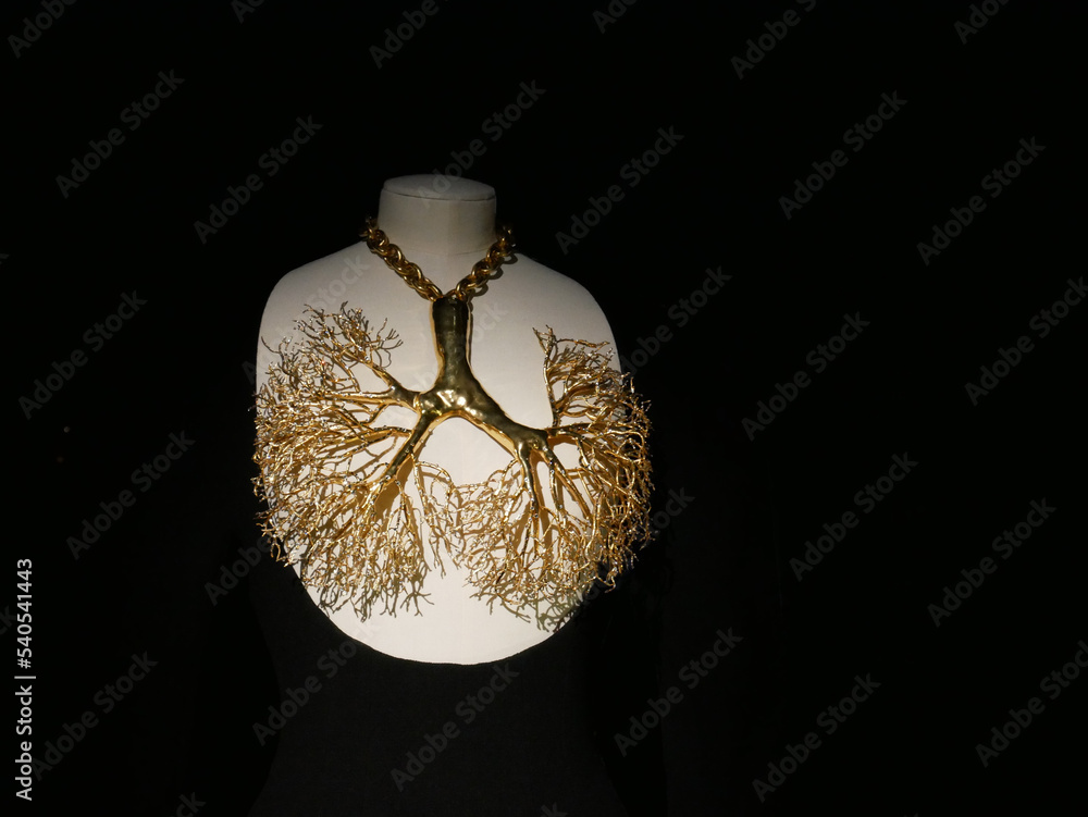 View Of The Famous Lung Shaped Necklace By Schiaparelli Fashion Designer Worn By Bella Hadid