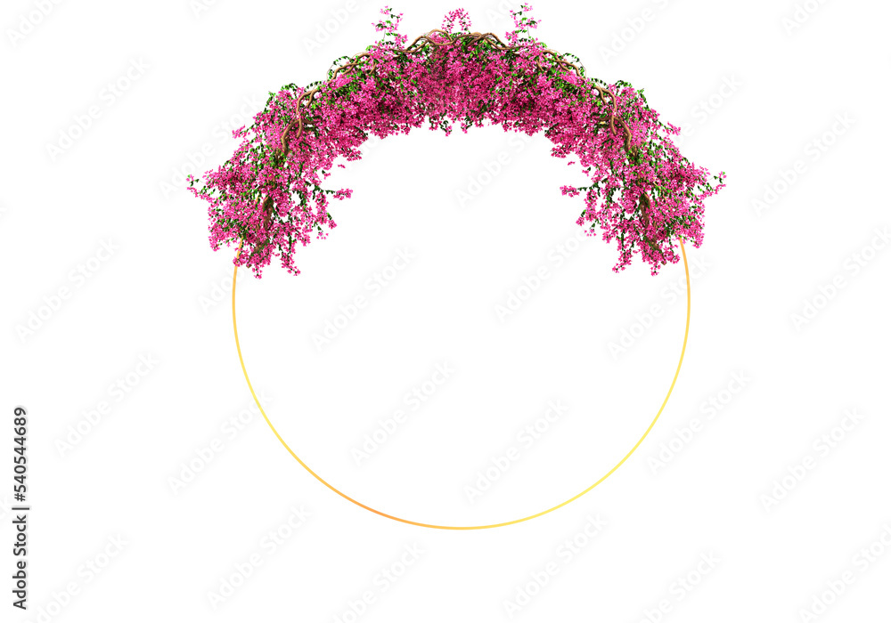 Flower foliage floral circle overlays, golden ring, backdrop overlays ...
