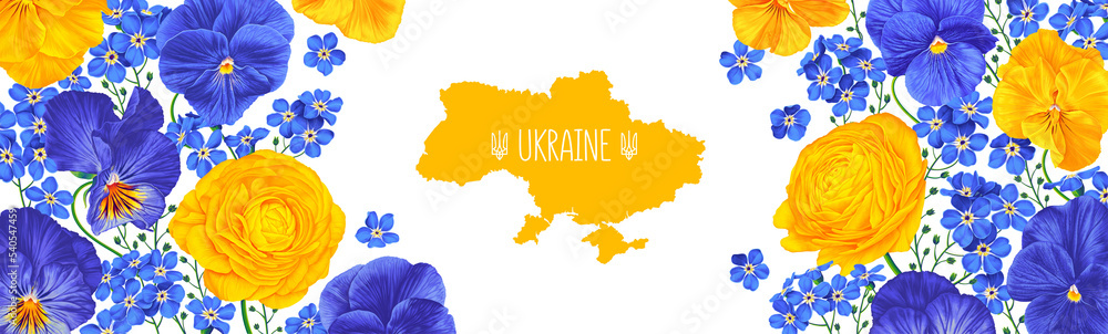 Ukraine botanical banner in blue and yellow color. Realistic flowers ...