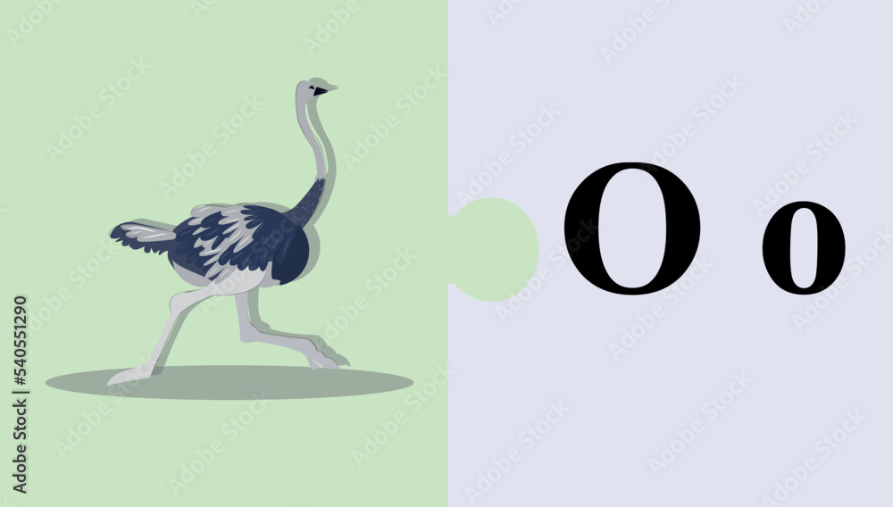 letter o, words starting with o, alphabet, learning the alphabet ...