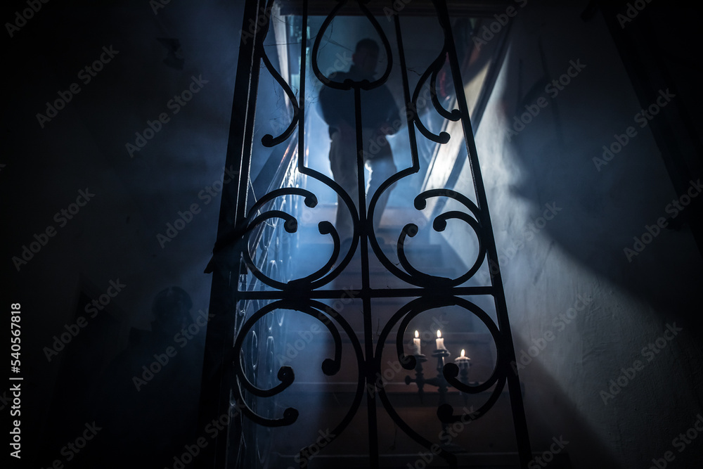 Inside of old creepy abandoned mansion. Silhouette of horror ghost ...
