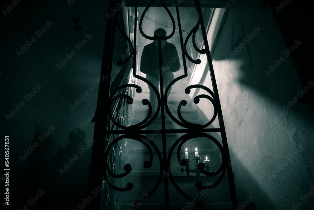 Fotka „Inside of old creepy abandoned mansion. Silhouette of horror ...