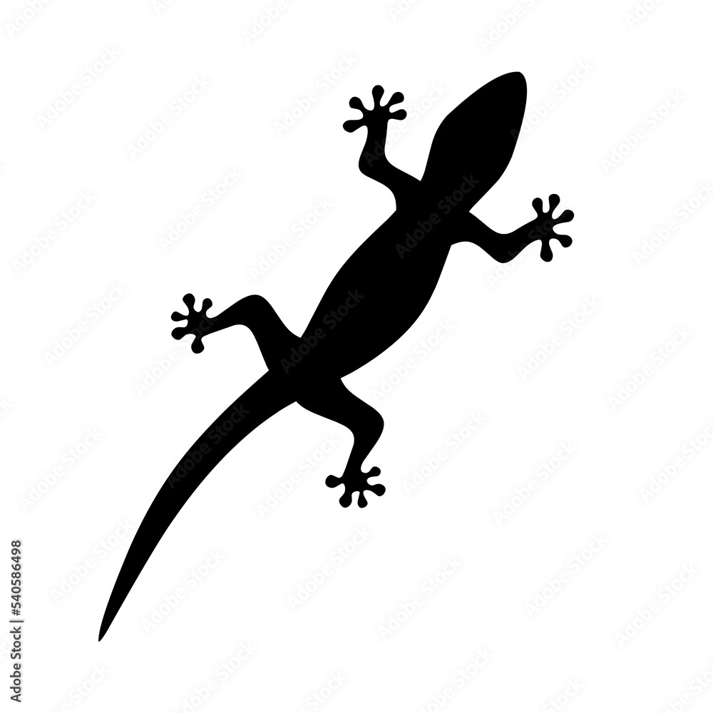 Vector black lizard on a white background. Monochrome silhouette of a ...