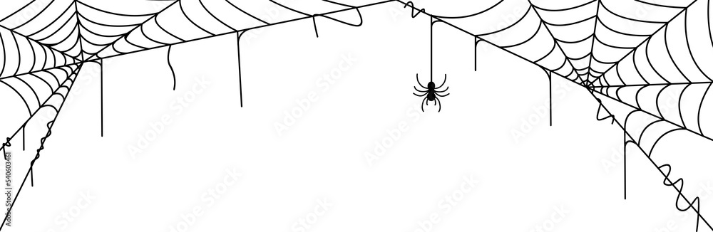 spider web halloween element design. line art spider web Stock ...