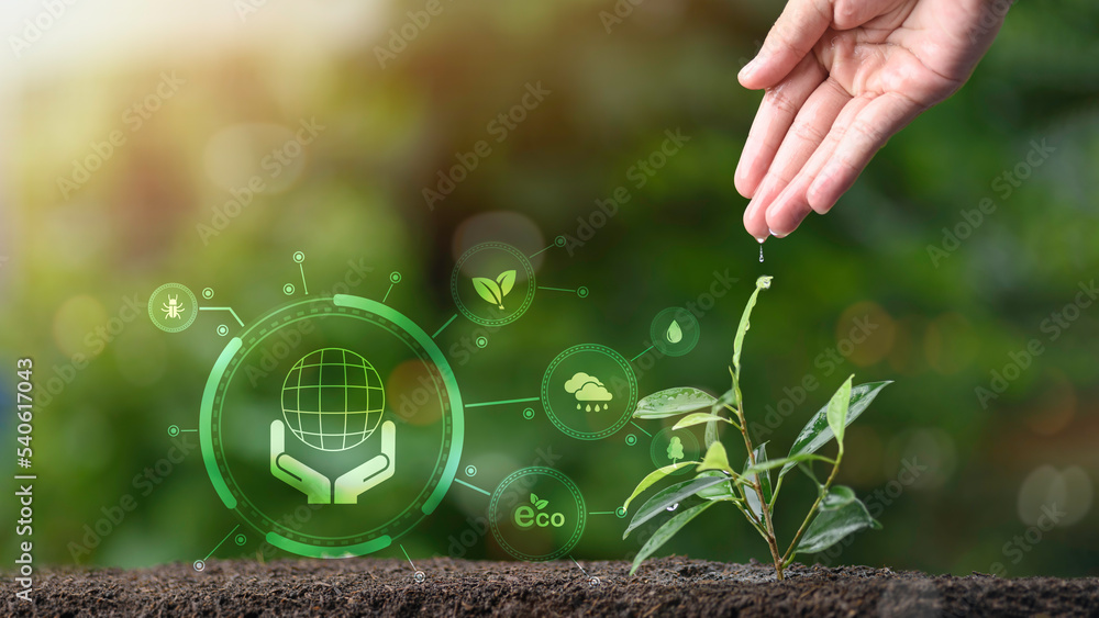 Human hand and seedling, nature background, concept planting trees ...