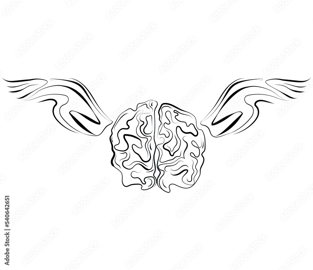 Flying brain with wings line drawing, vector logo, icon, design ...