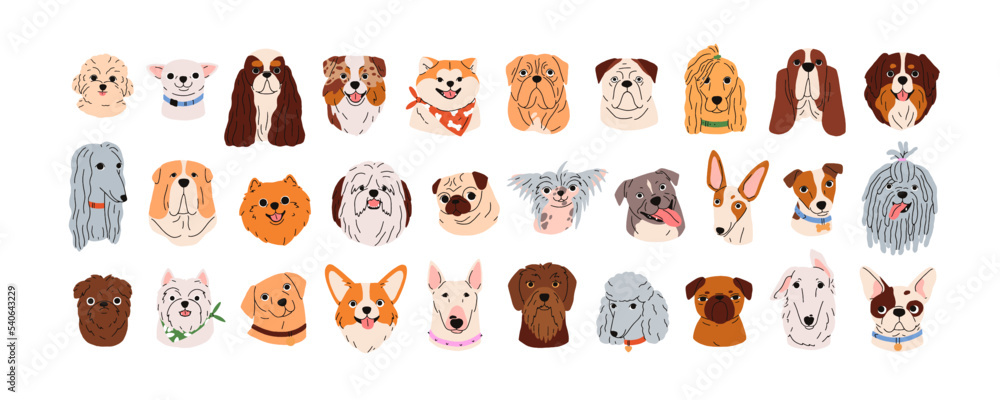 Cute dogs faces set. Canine head portraits of different doggy breeds ...