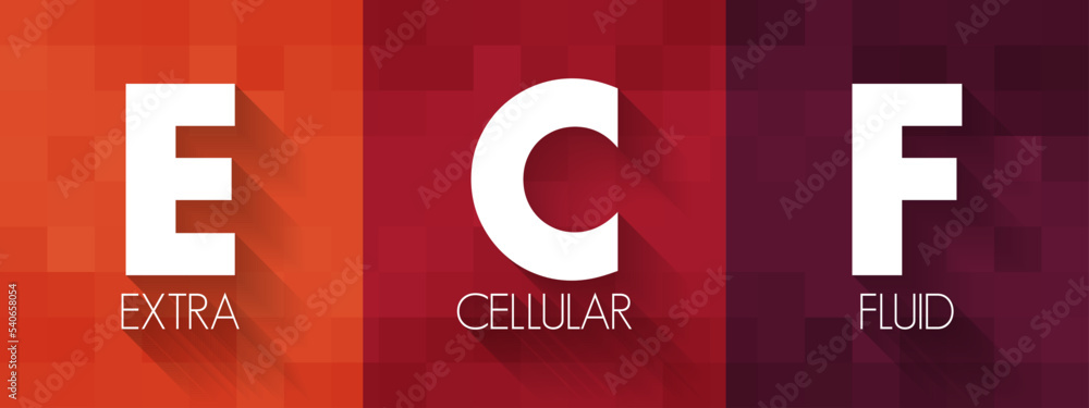 ECF Extracellular fluid - body fluid that is not contained in cells ...