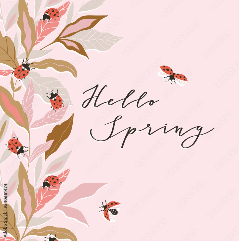 Vector insect seasonal card with lettering - Hello spring. Hand-drawn ...