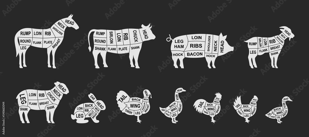 Farm animals scheme cuts set. Pig, Horse, Turkey, Goat, Sheep, Chicken ...
