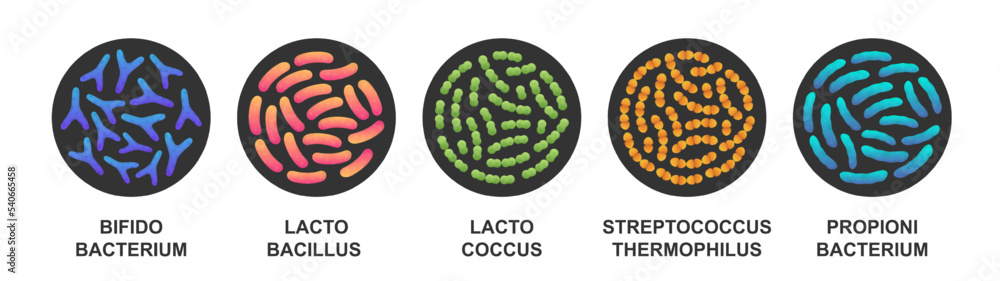 Set of probiotics in a circle. Bacteria and microorganisms. Bifidobacterium, lactobacillus ...