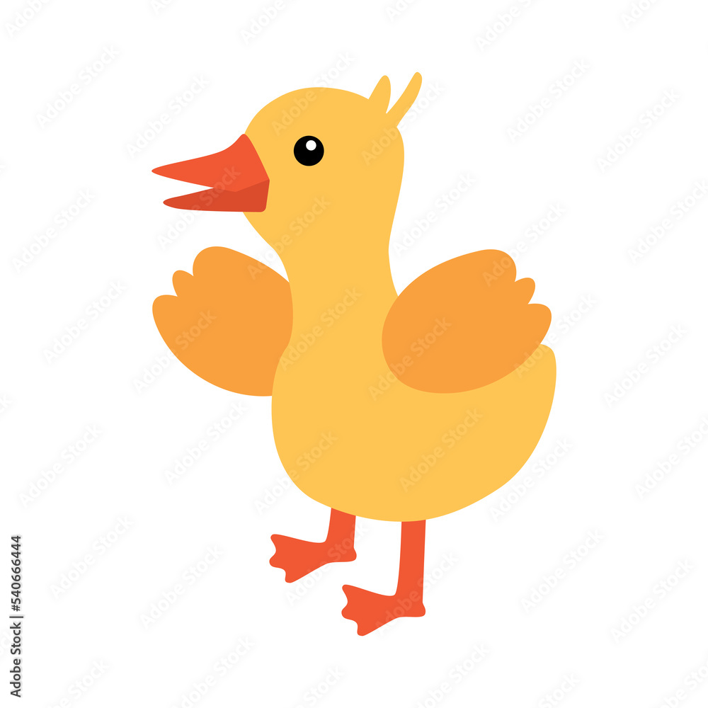 Cartoon illustration. Duckling is an animal and a family duckling ...