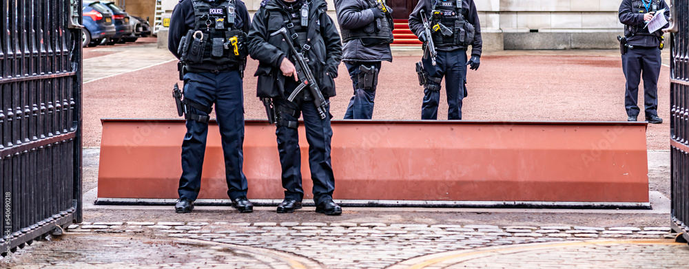 An authorised firearms officer (AFO) is a British police officer who is ...