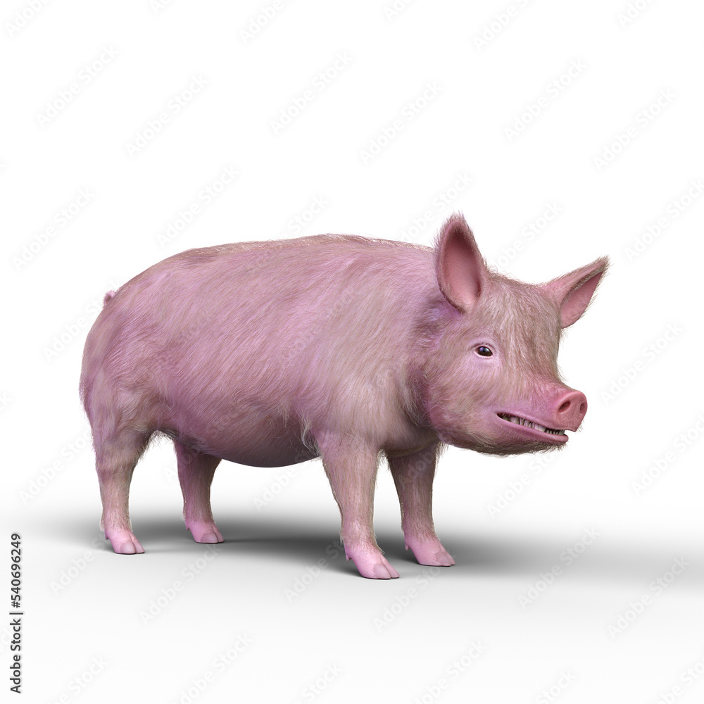 3D rendering of a pig isolated on a transparent background. Stock ...