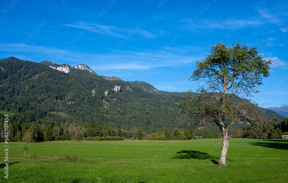 Paysage de montagne rural autour du mont Triglav en Slovénie en été ...