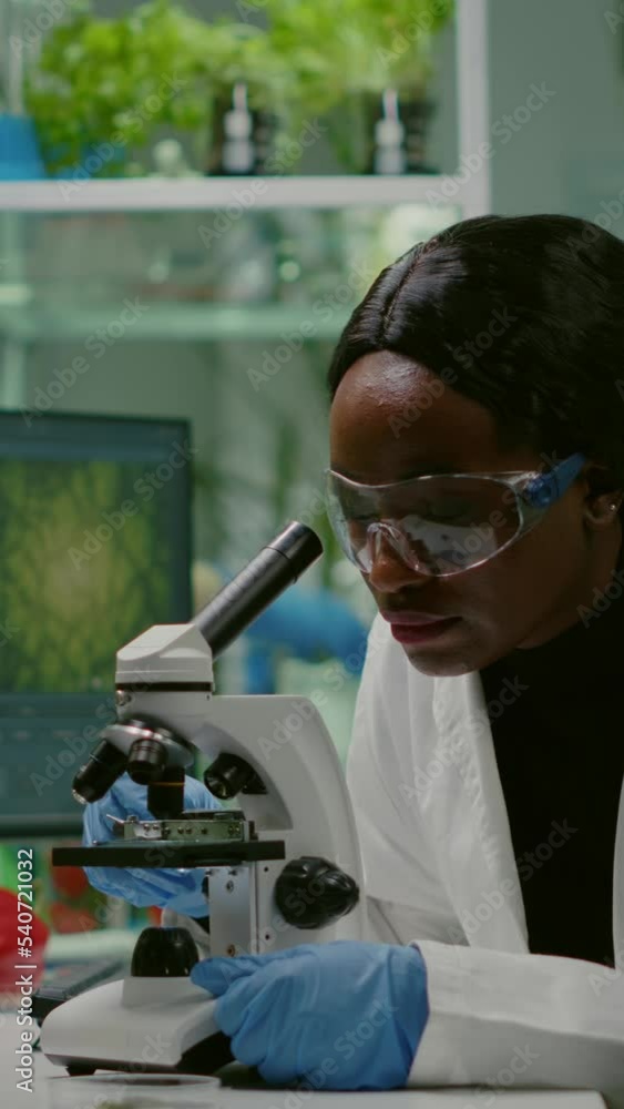 Vertical video: Slide view of biologist researcher analyzing gmo green ...