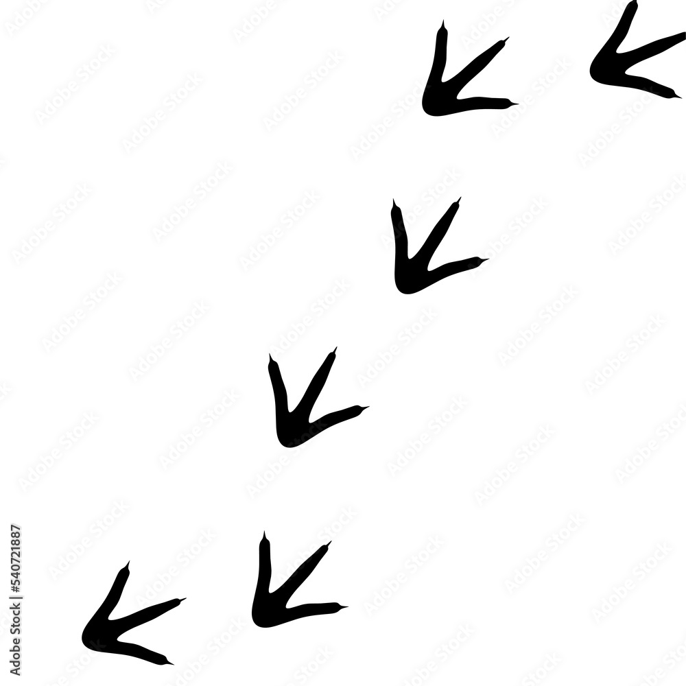 Vector silhouette of chicken footprints on a white background. Foot ...