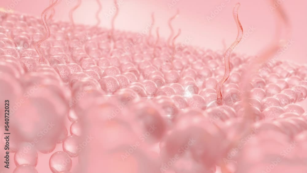 vitamin serum drop through skin cell and penetrates to collagen ...