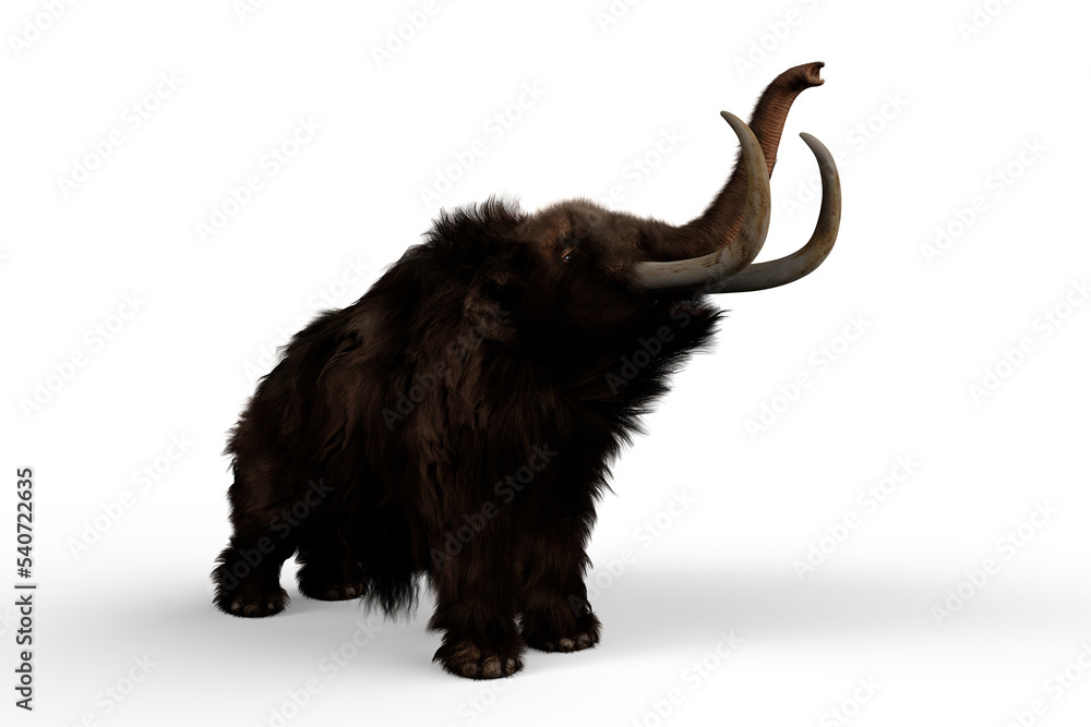 3D illustration of a Woolly Mammoth stretching and reaching up with ...