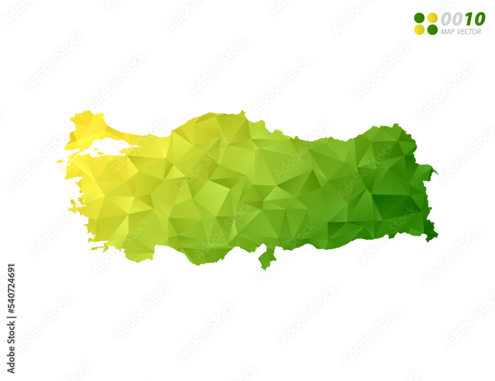 Vector Turkey map green and yellow polygon triangle mosaic with white ...