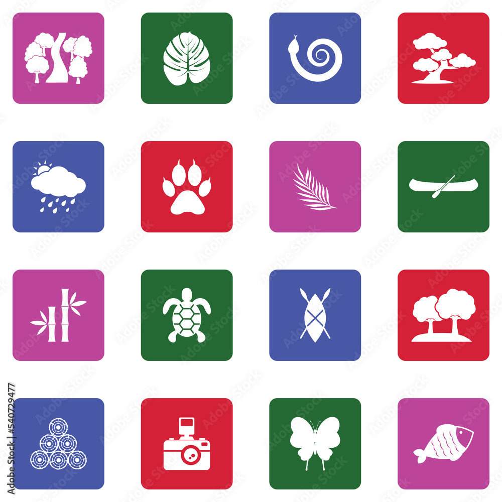 Rainforest Icons. White Flat Design In Square. Vector Illustration ...