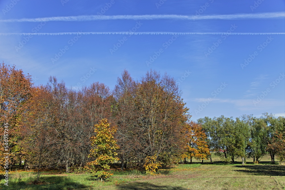 Autumn trees in the European park at Sunny october day on blue sky with ...