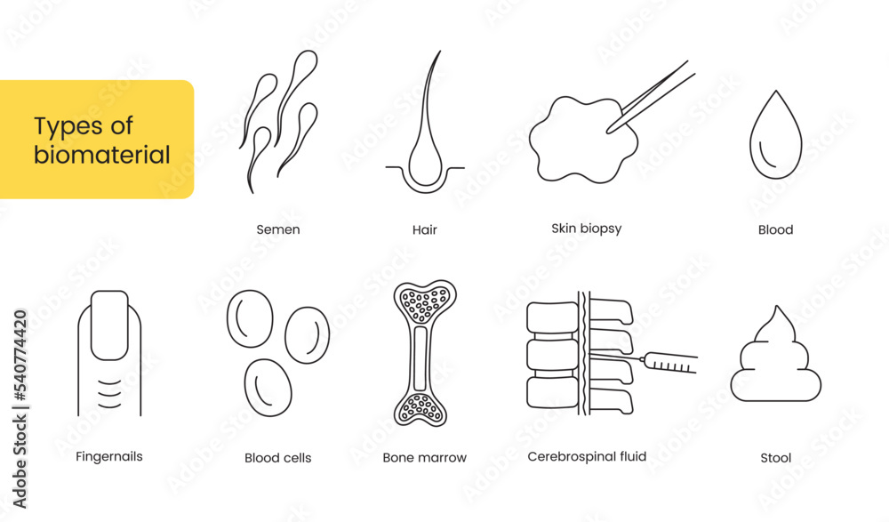 Poster Types of biomaterial a set of line icons in vector, illustration ...